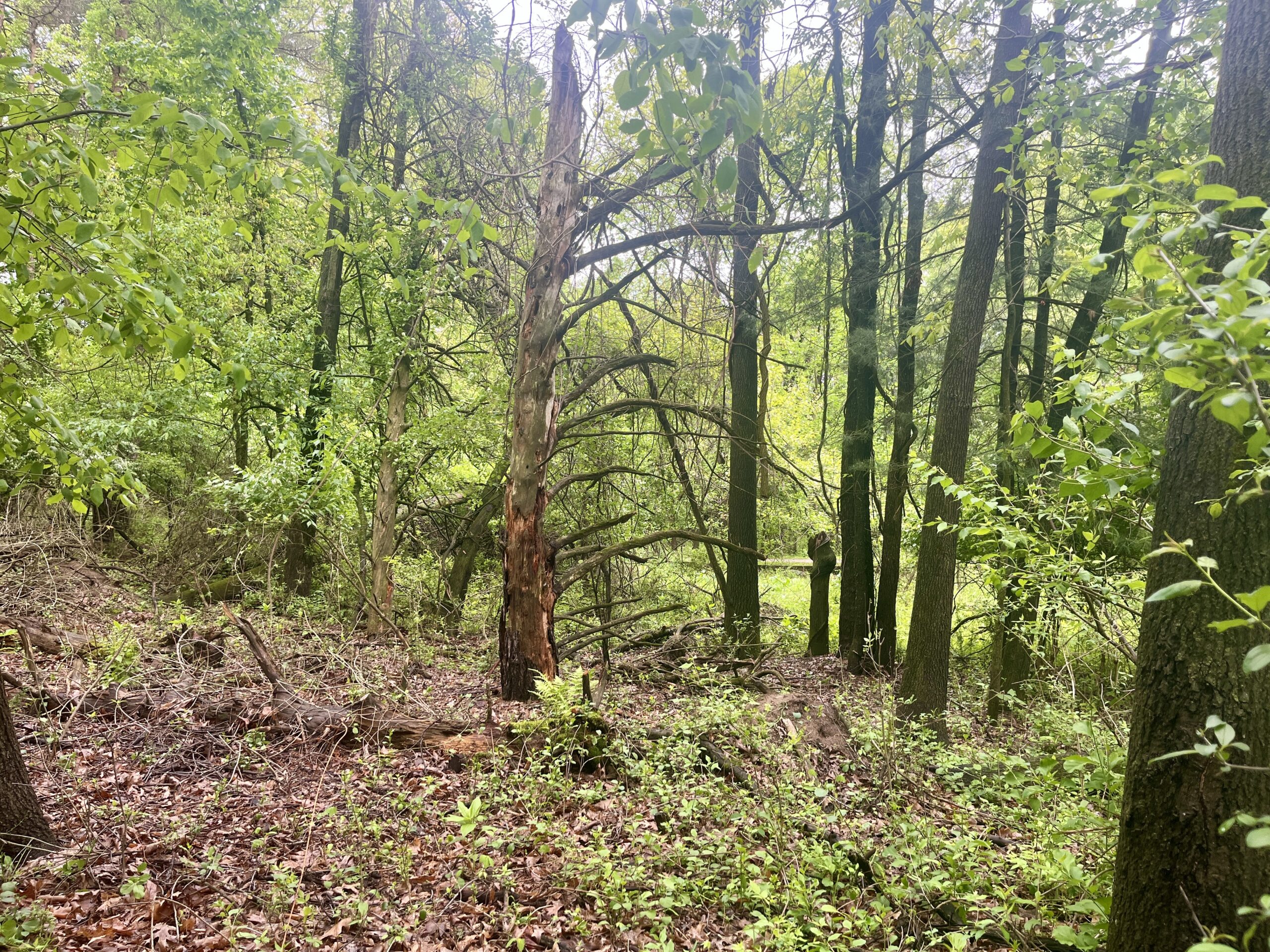 Outdoor Adventures at Dahlem Environmental Education Center ...
