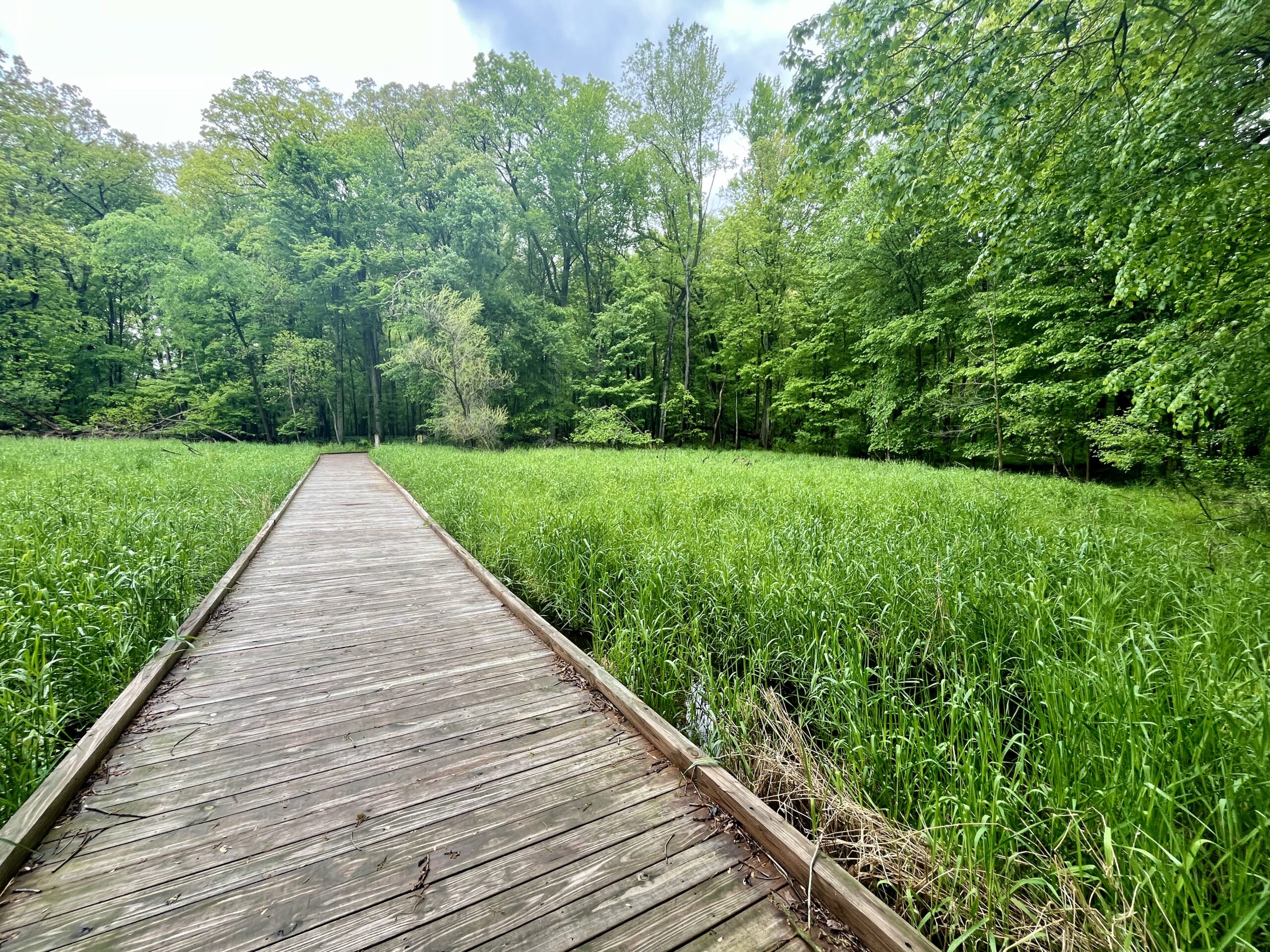 Outdoor Adventures at Dahlem Environmental Education Center ...