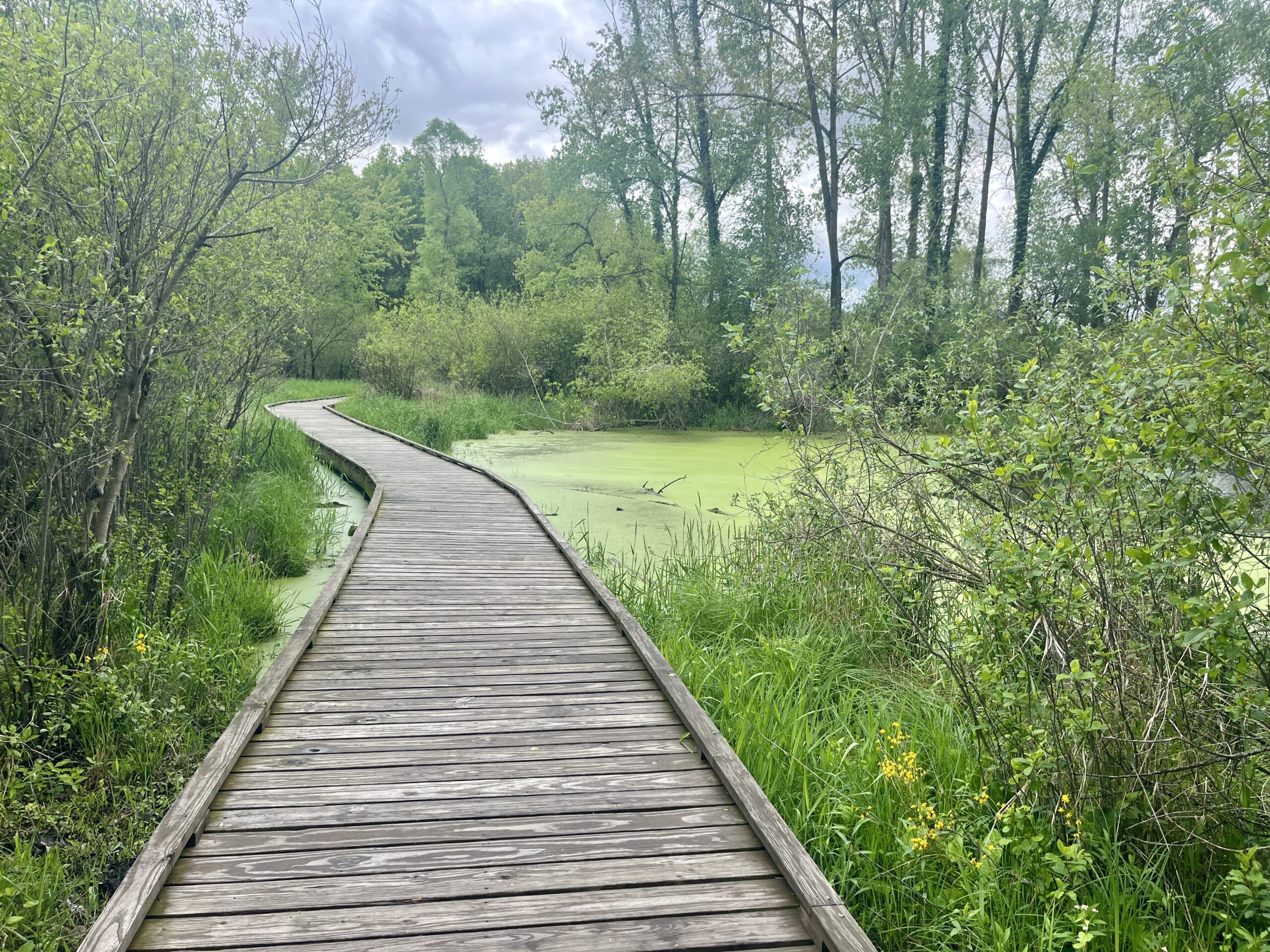 Outdoor Adventures at Dahlem Environmental Education Center ...