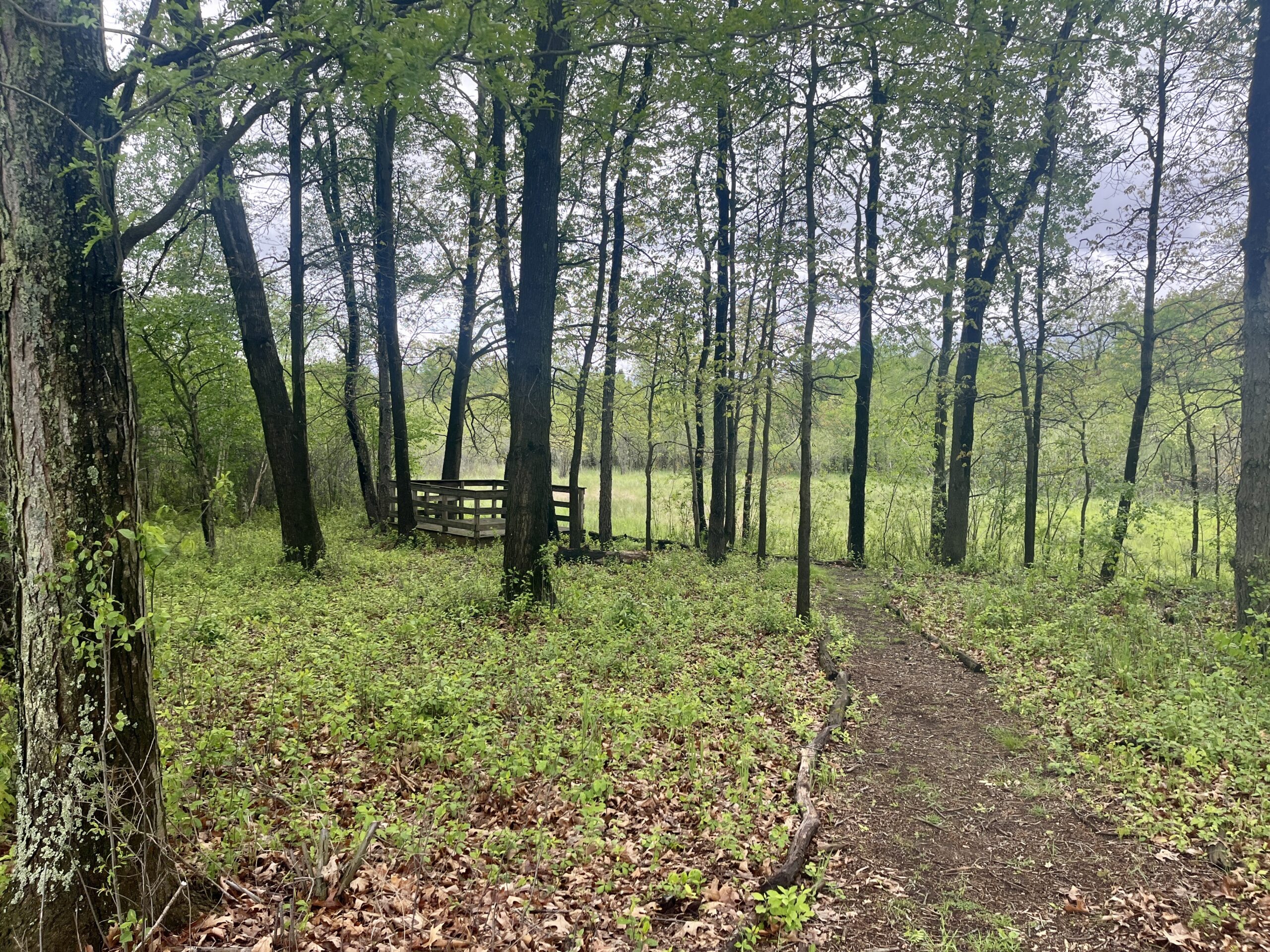 Outdoor Adventures at Dahlem Environmental Education Center ...