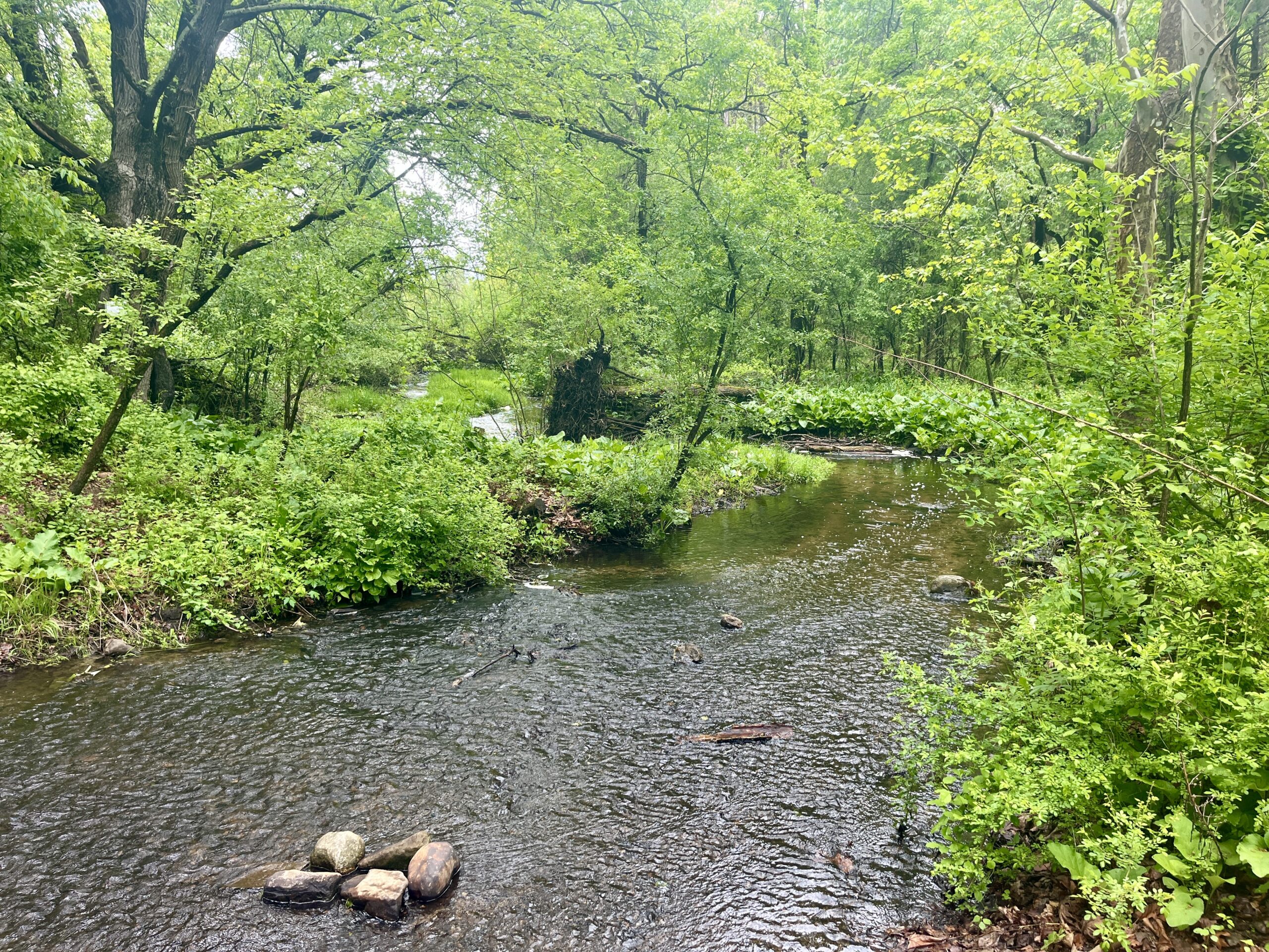 Outdoor Adventures at Dahlem Environmental Education Center ...